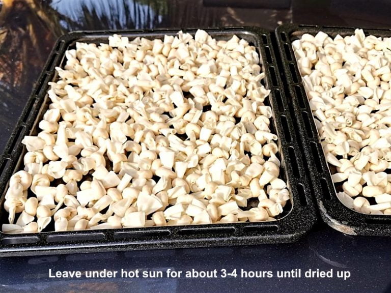 Chicken Floss Love Knot Spring Rolls (Popia Simpul Kasih ...